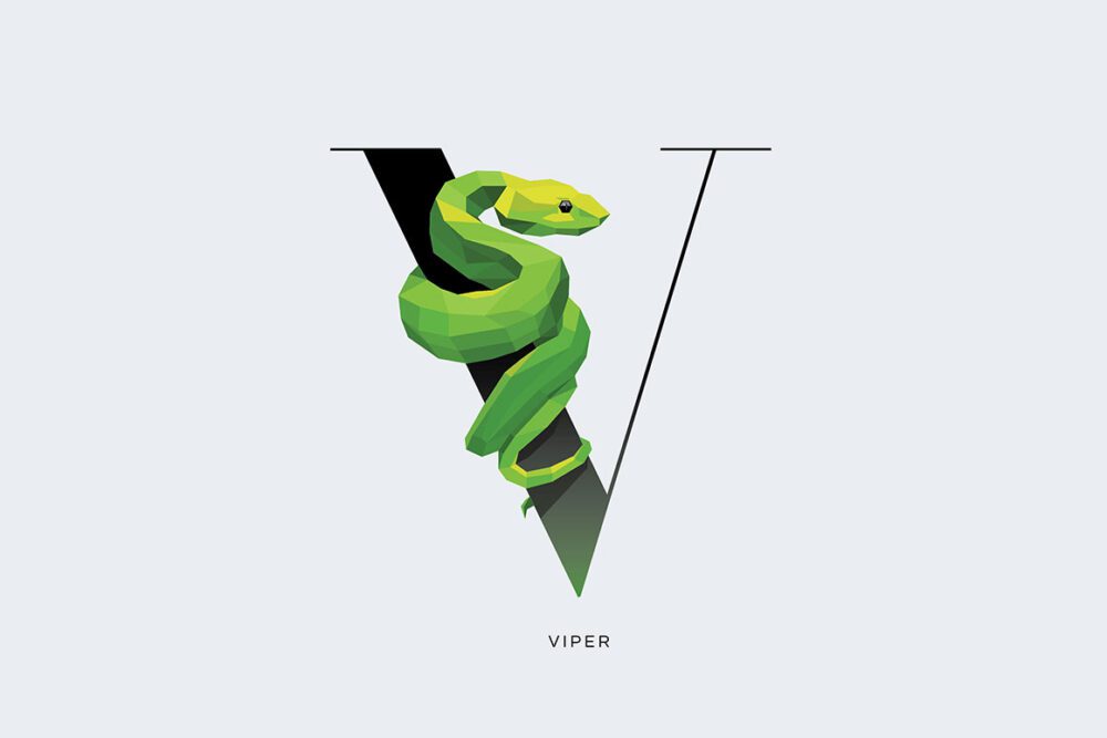 Viper Snake Logo / Letter V | Polar Vectors