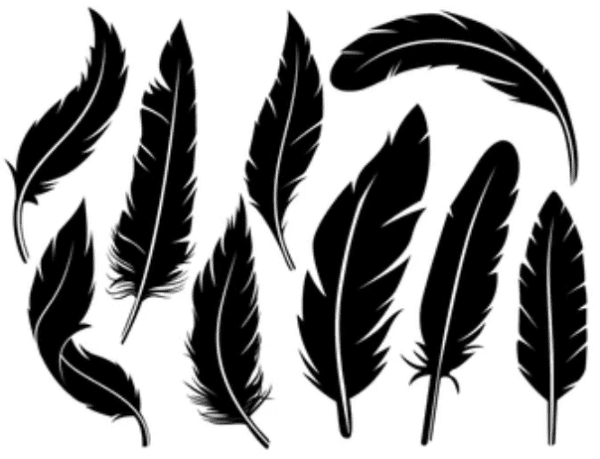 Feathers Clipart Set | Polar Vectors