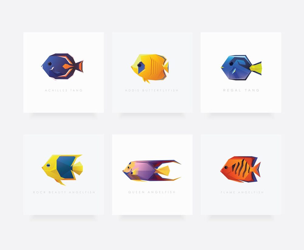 Tropical Fish Clipart Set | Polar Vectors