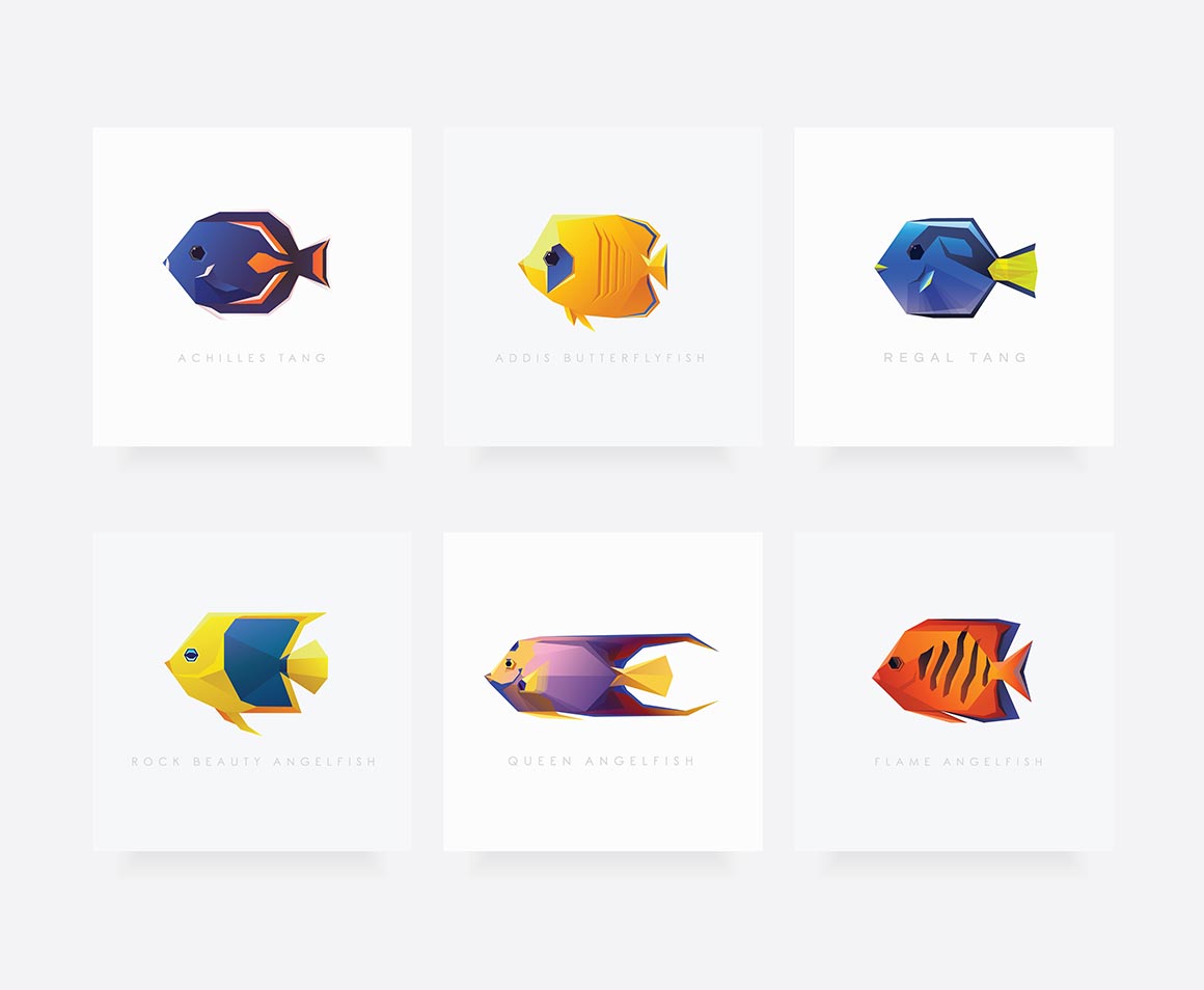 Colorful Tropical Fish Clipart