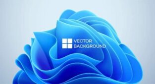 Color Trends 2024 | Polar Vectors