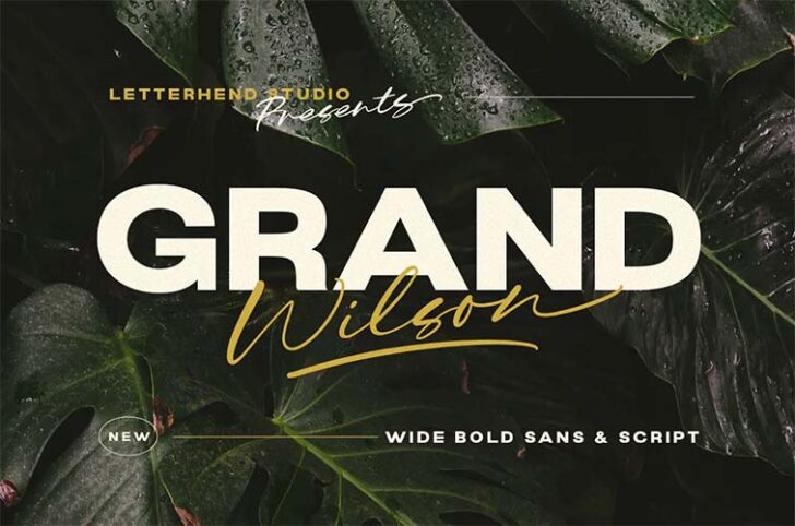Typography Trends 2024 | Polar Vectors