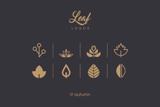 Leaf Pattern & Logo Branding Collection | Polar Vectors