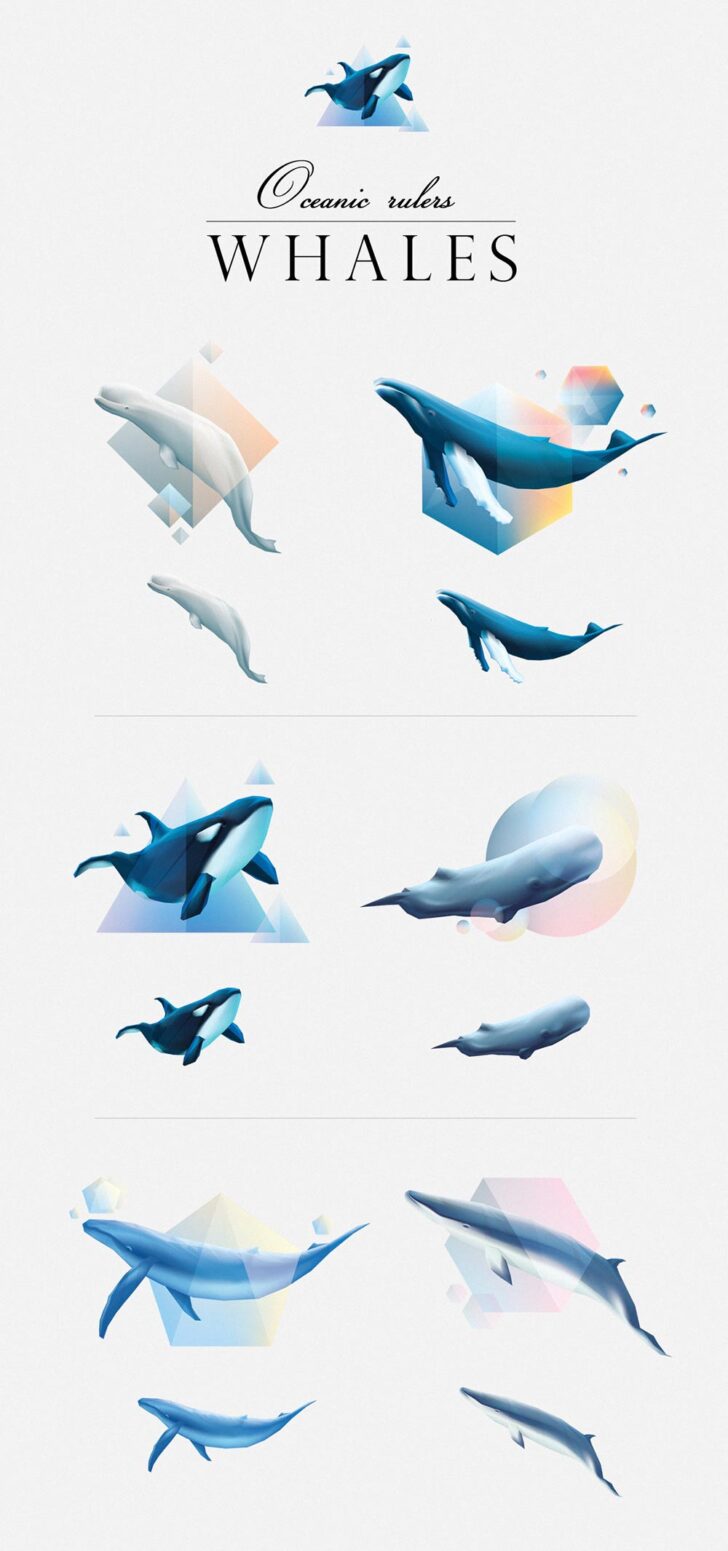 Whale Art Wallpaper Set & Design Elements | Polar Vectors