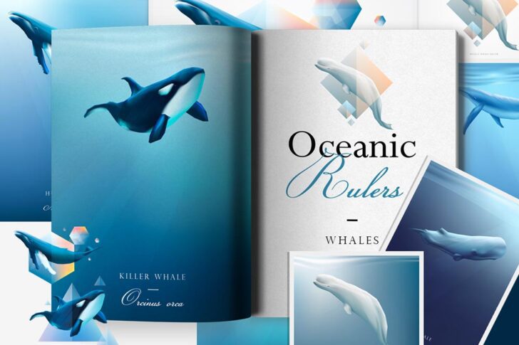 Whale Art Wallpaper Set & Design Elements | Polar Vectors